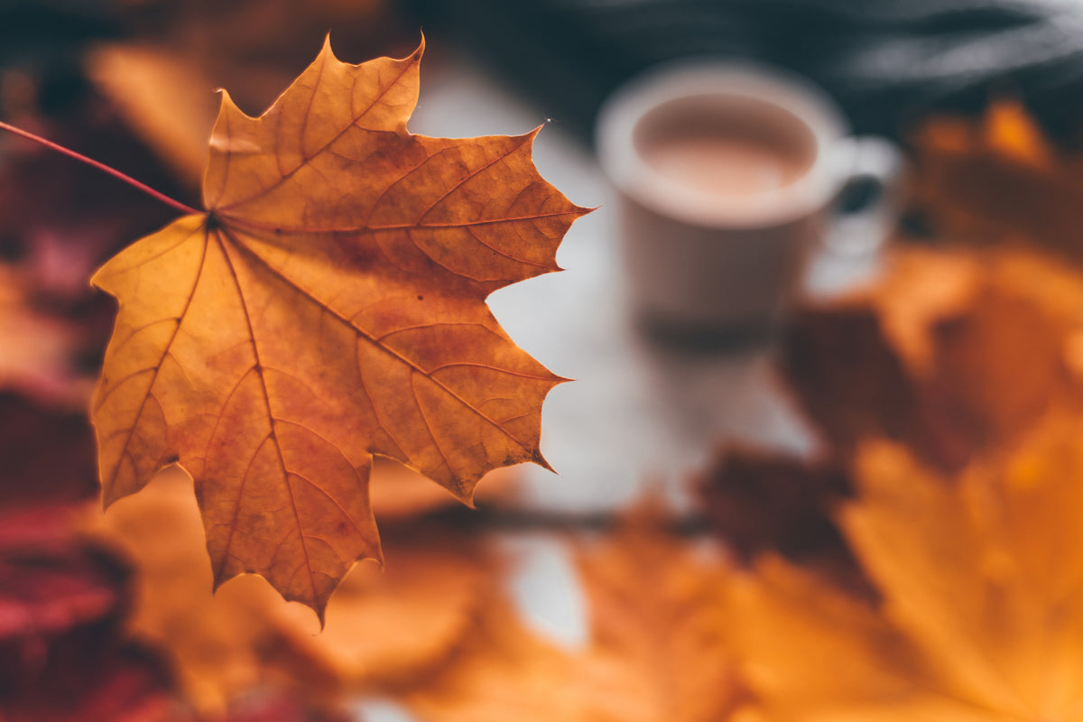 4 Lifestyle Habits to Take Into Cooler Weather This Fall – Dr. Vim's